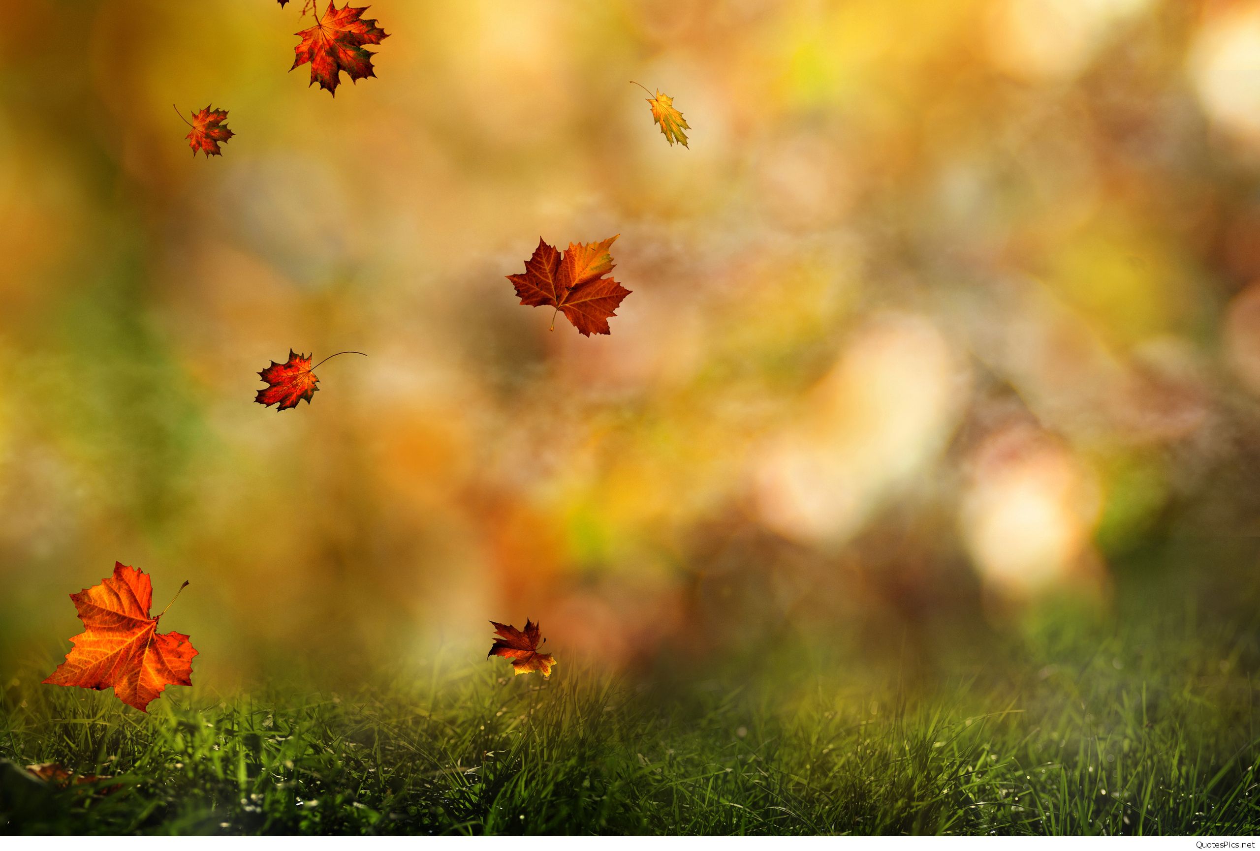 September Poetry Begins Its Fall ~ First Sunday of the Month – Steps In ...