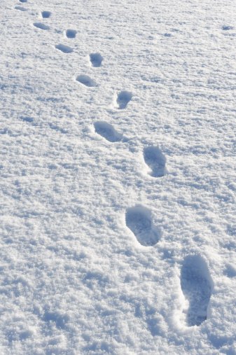 In the Magic of Snowflakes – I write – Steps In Between