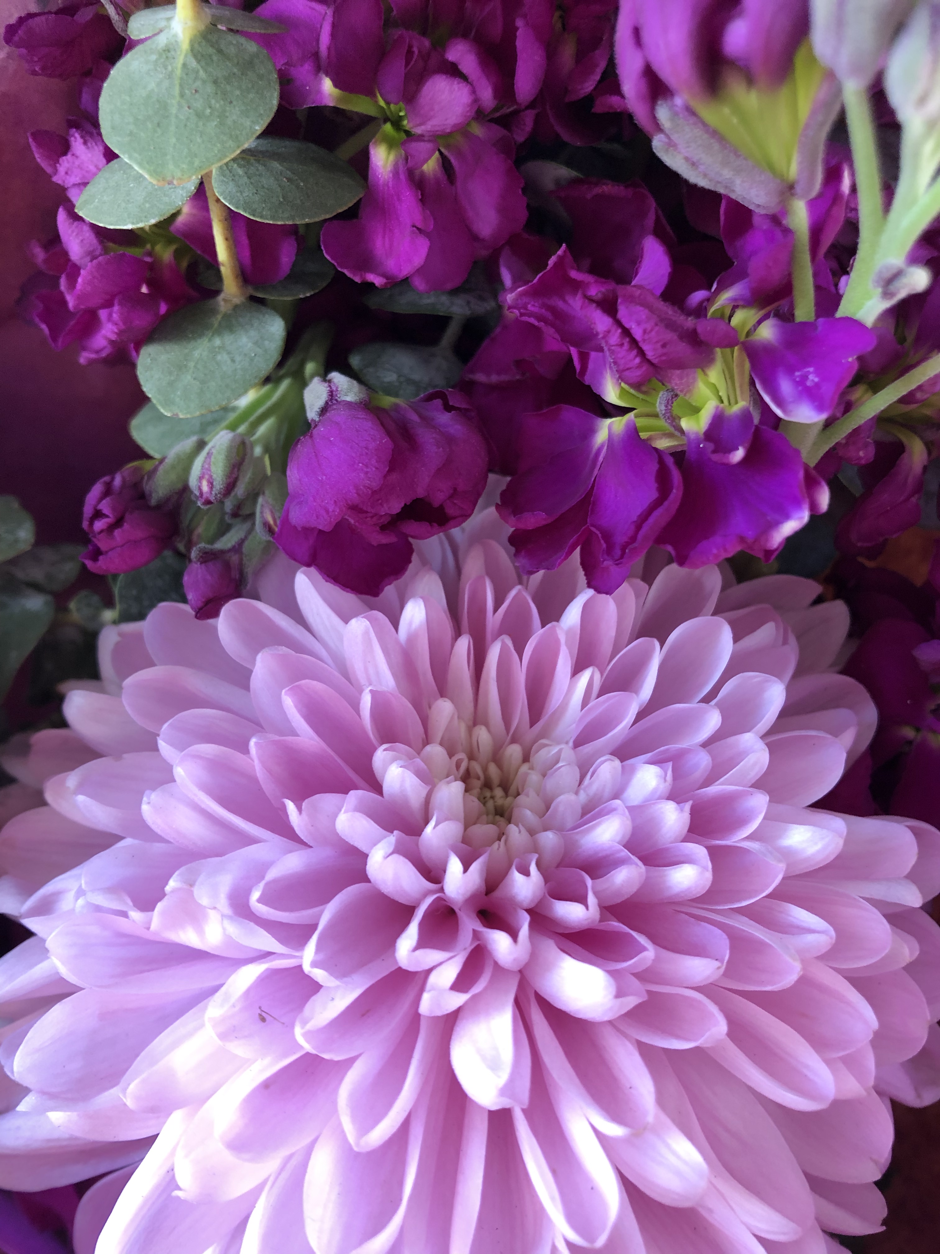 Color Guard Haiku – Steps In Between
