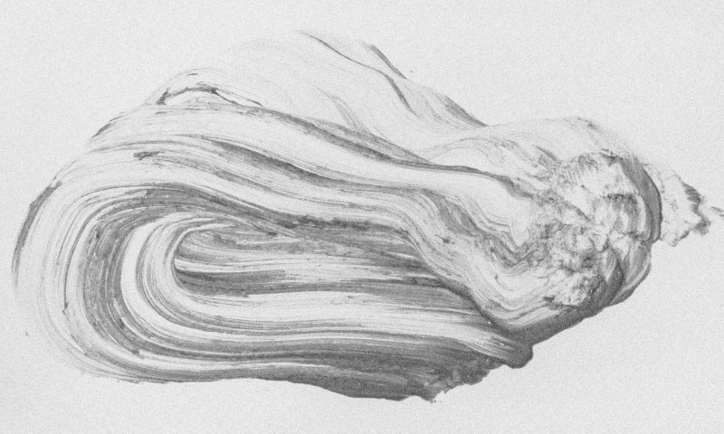 A Wriggling Writing Mind – Steps In Between