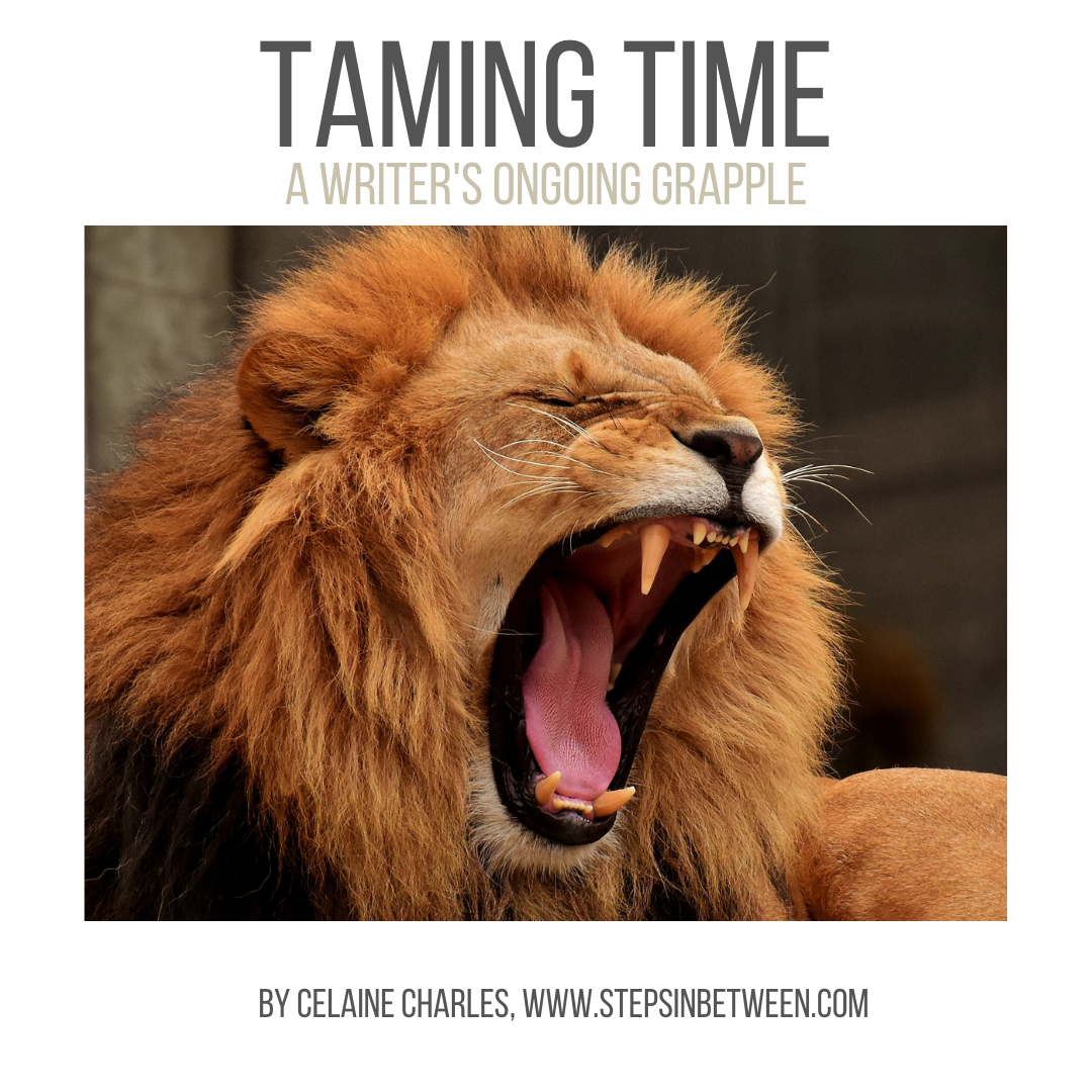 Taming Time (a writer’s ongoing grapple) – Steps In Between